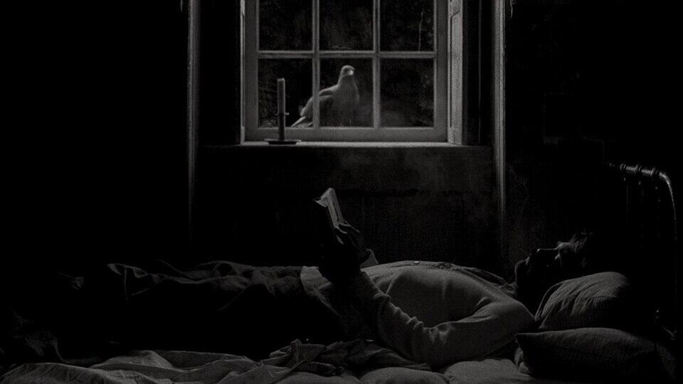 The Lighthouse | Kinepolis Luxemburg